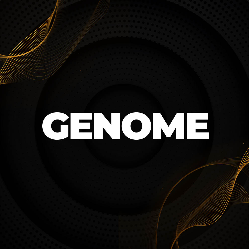 Discover GENOME 2.0 - Two notes